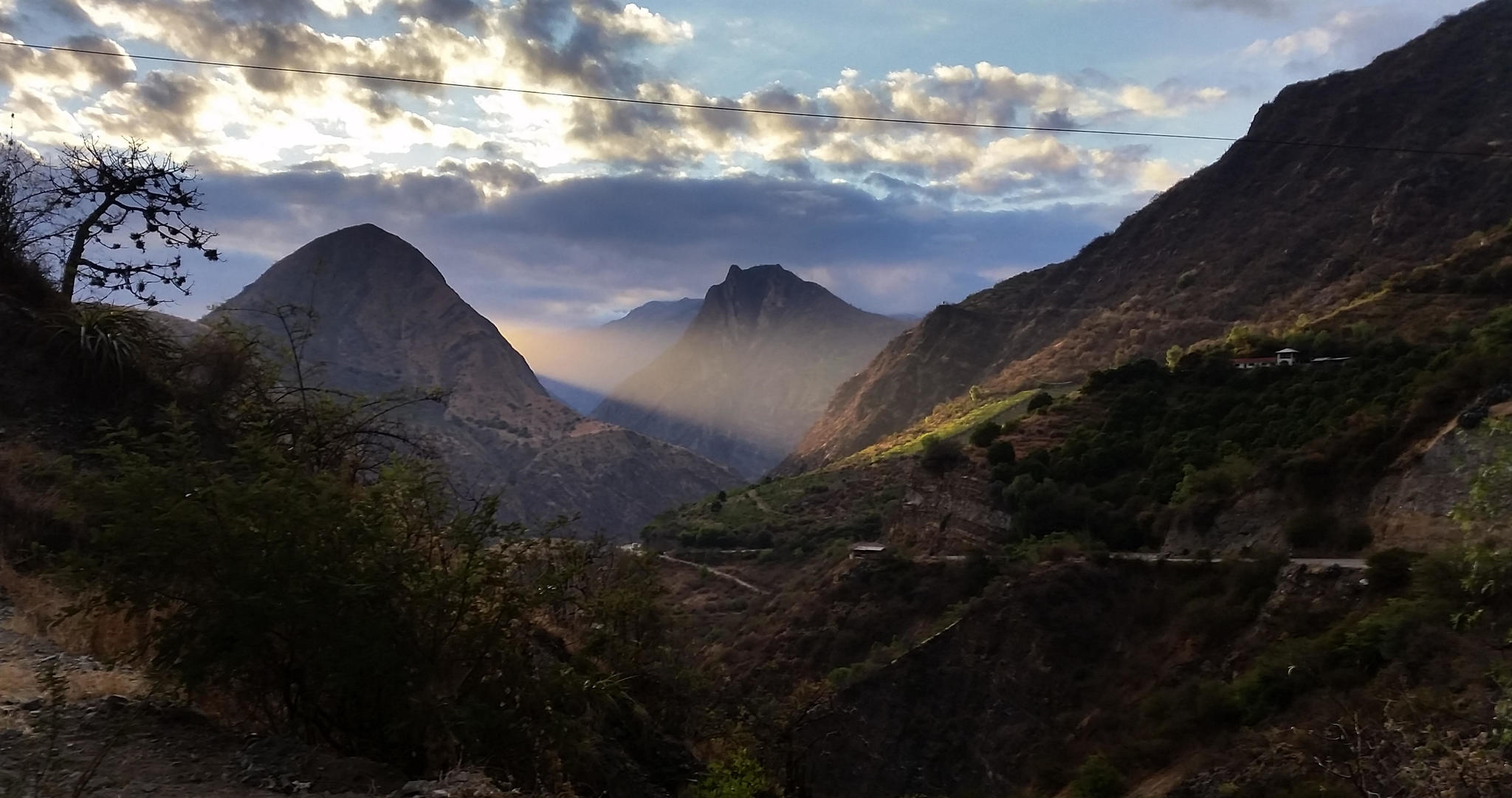 Thomas Chapman Proctor